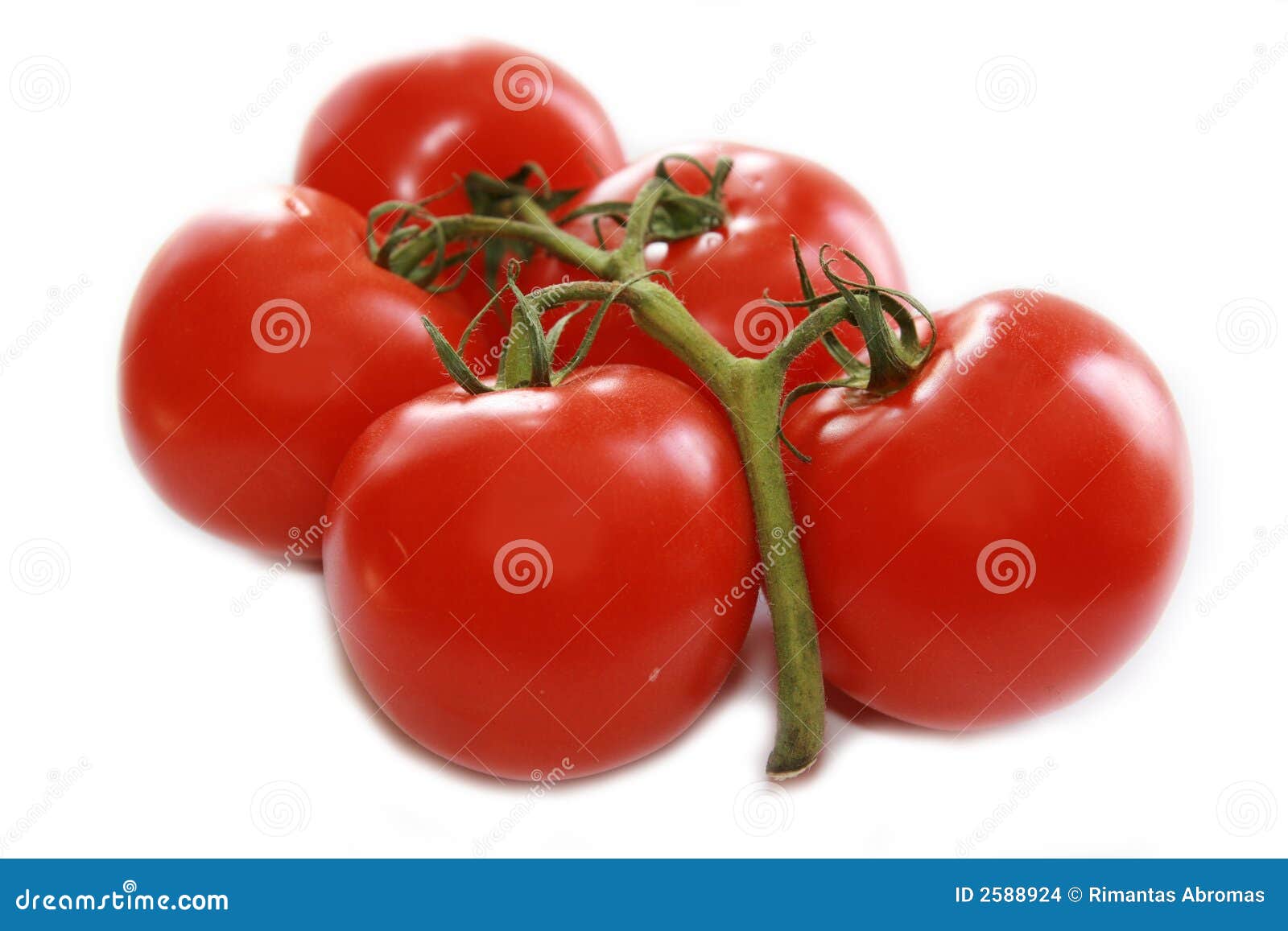Bunch of tomatoes stock photo. Image of bunch, cook, environment - 2588924