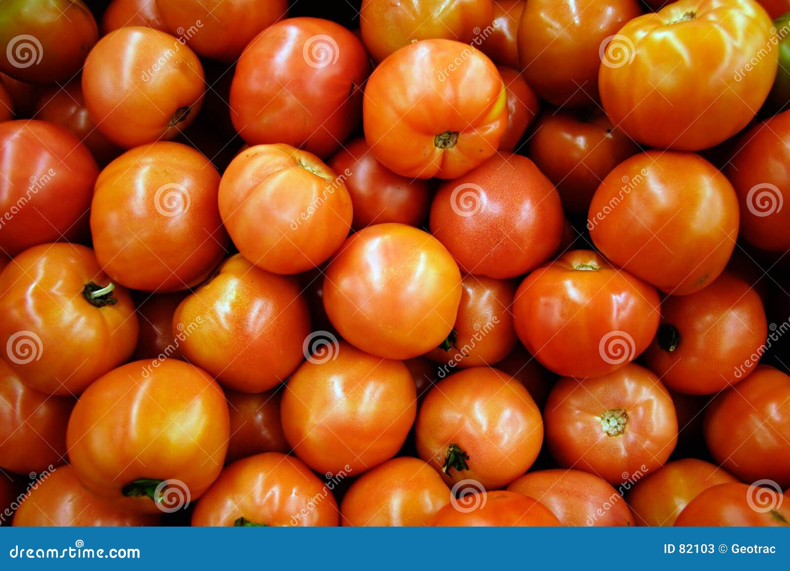 Bunch of Tomatoes stock image. Image of health, grocery - 82103
