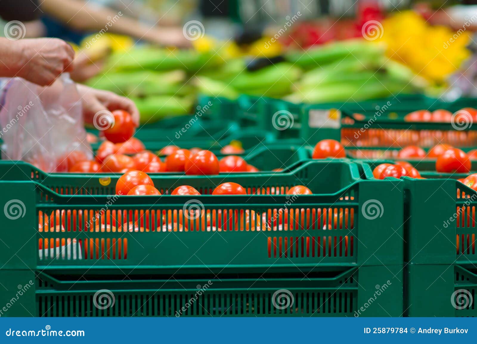 Bunch of Tomatoes in Plastic Boxes in Supermarket Stock Photo - Image ...
