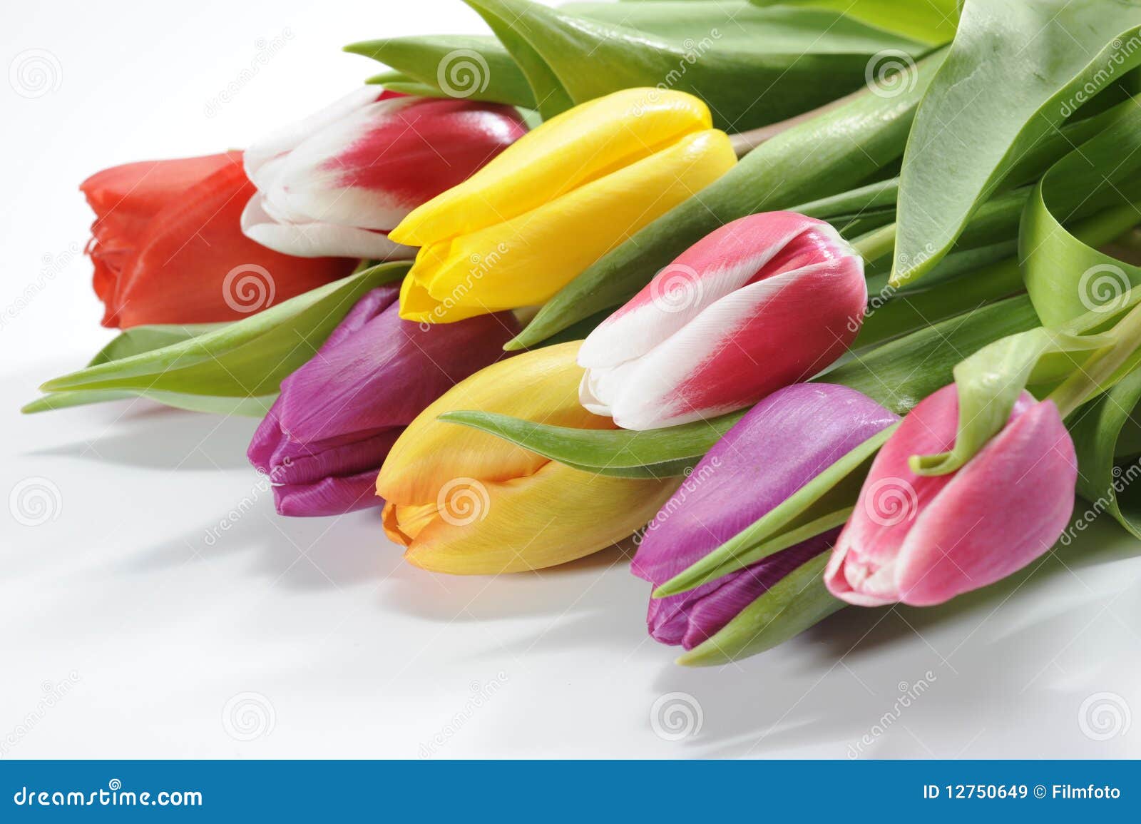 Bunch tulips stock image. Image of leaf, color, colorful - 12750649