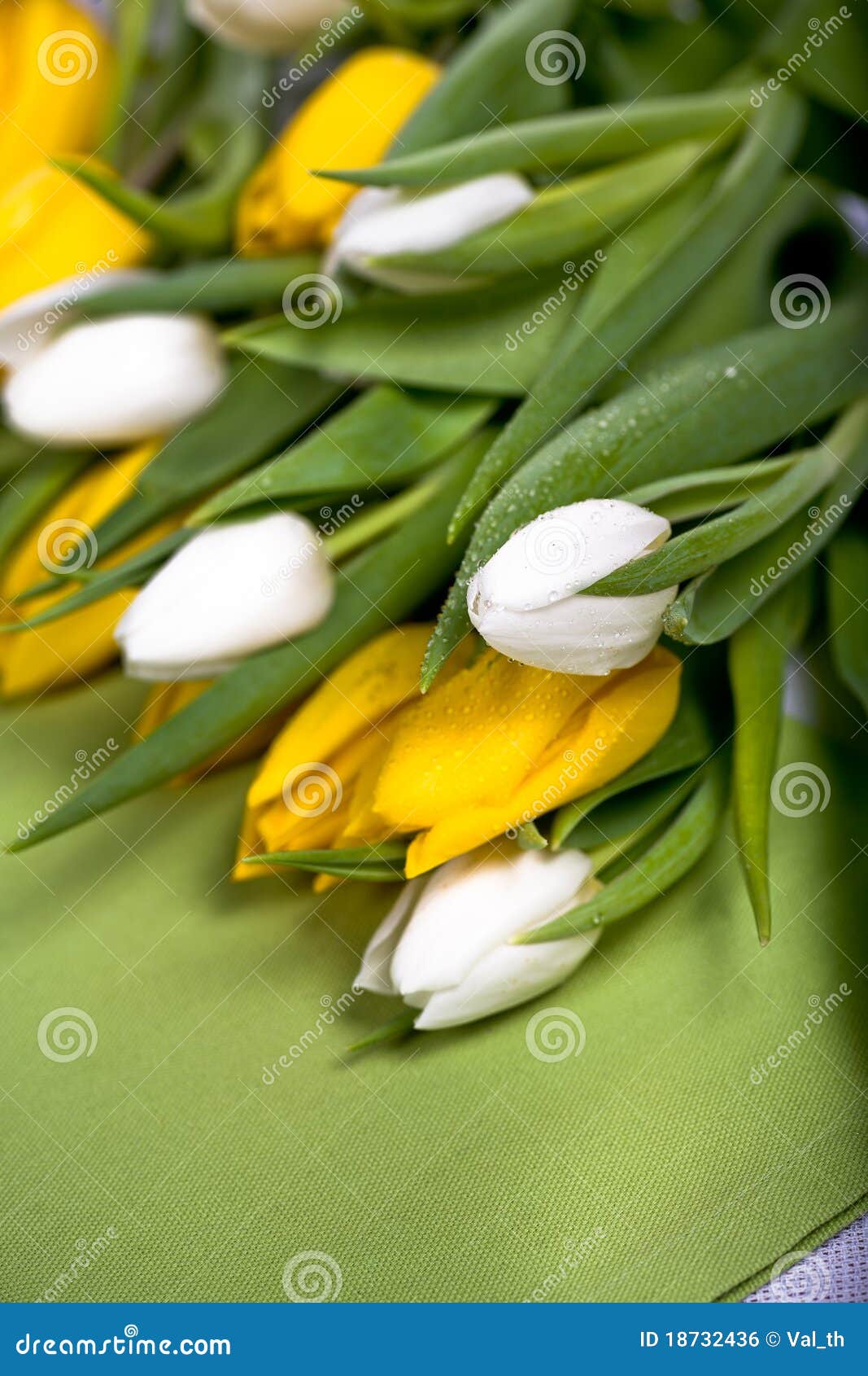 Bunch of tulips stock photo. Image of bouquet, tulip - 18732436
