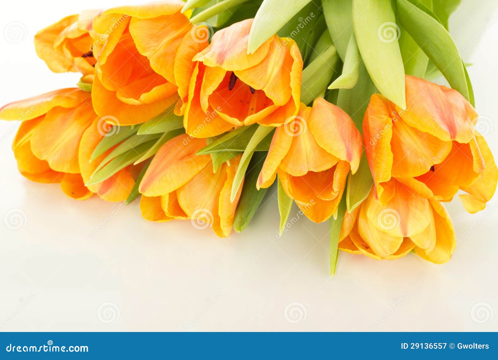 Bunch of tulips stock image. Image of mothers, colorful - 29136557