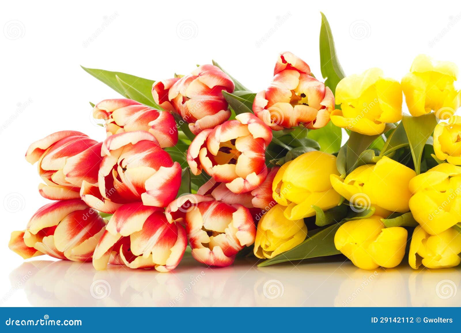 Bunch of tulips stock photo. Image of colourful, birthday - 29142112
