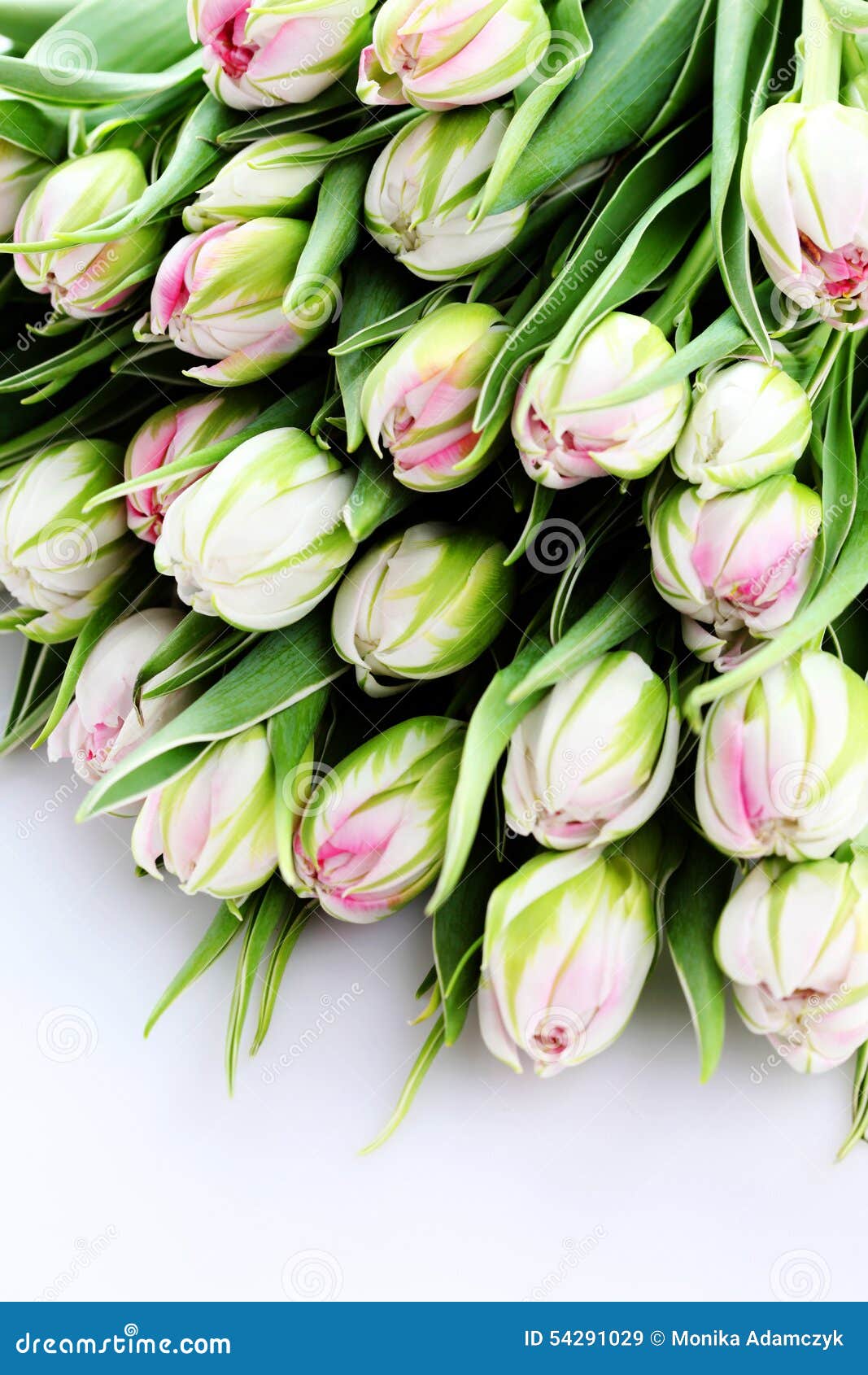 Bunch of tulips stock image. Image of greetings, nature - 54291029