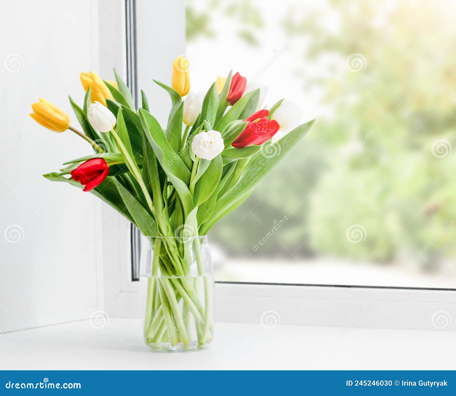 Bouquet of Tulips on the Window Stock Photo - Image of gift, plant ...