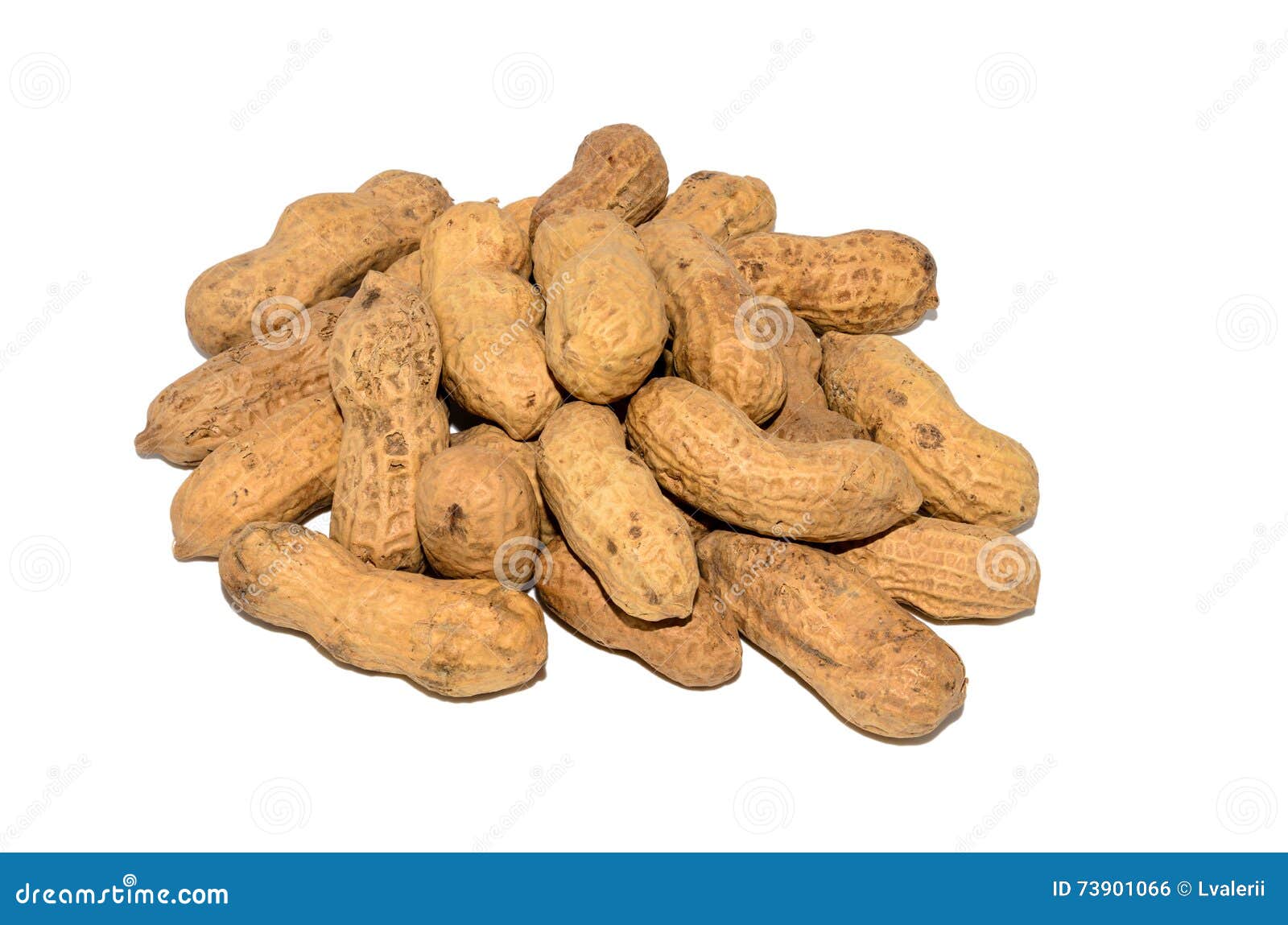 A Bunch of Unshelled Peanuts Stock Photo - Image of white, background ...
