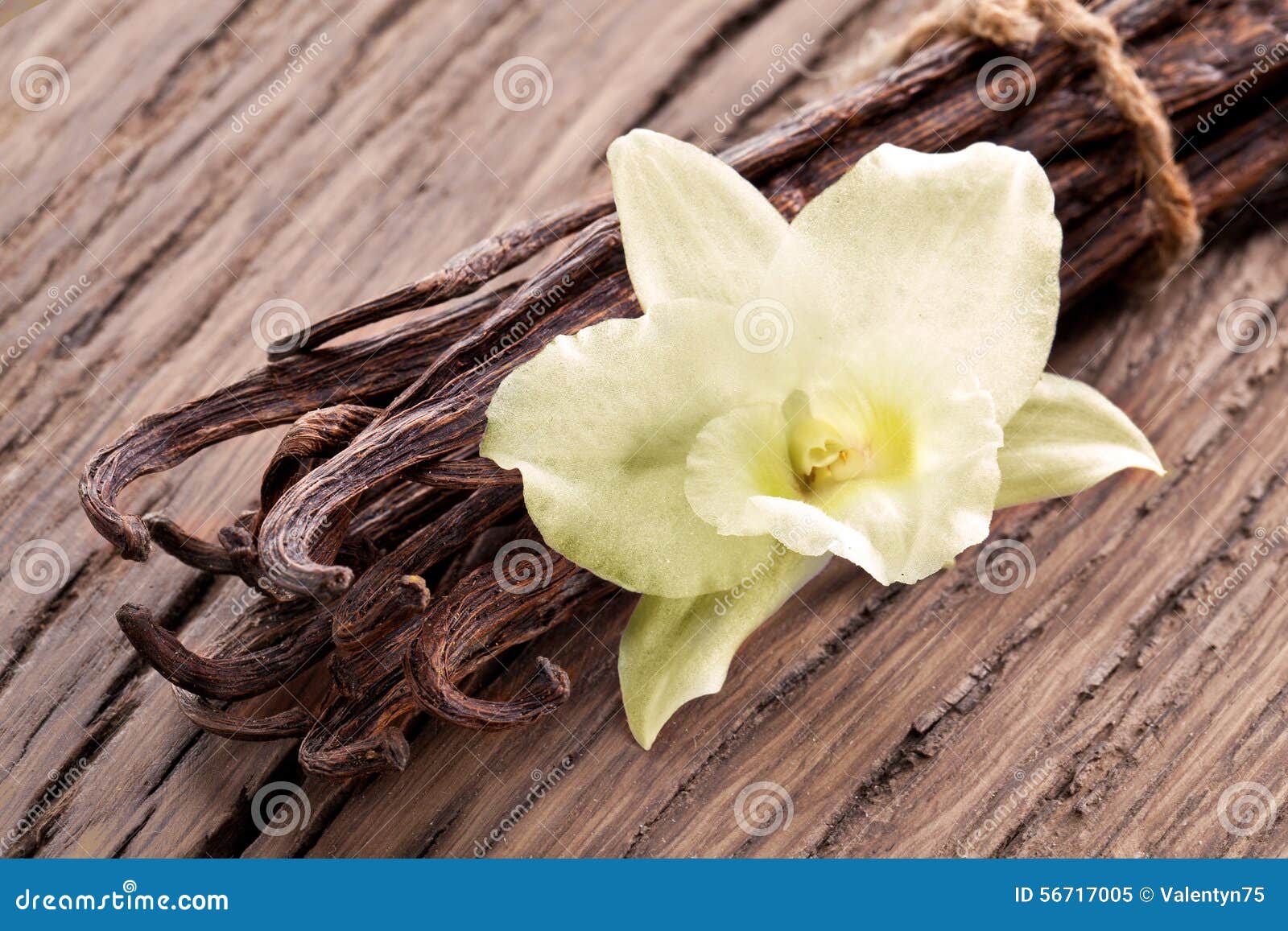 Bunch of vanilla sticks. stock image. Image of brown - 56717005