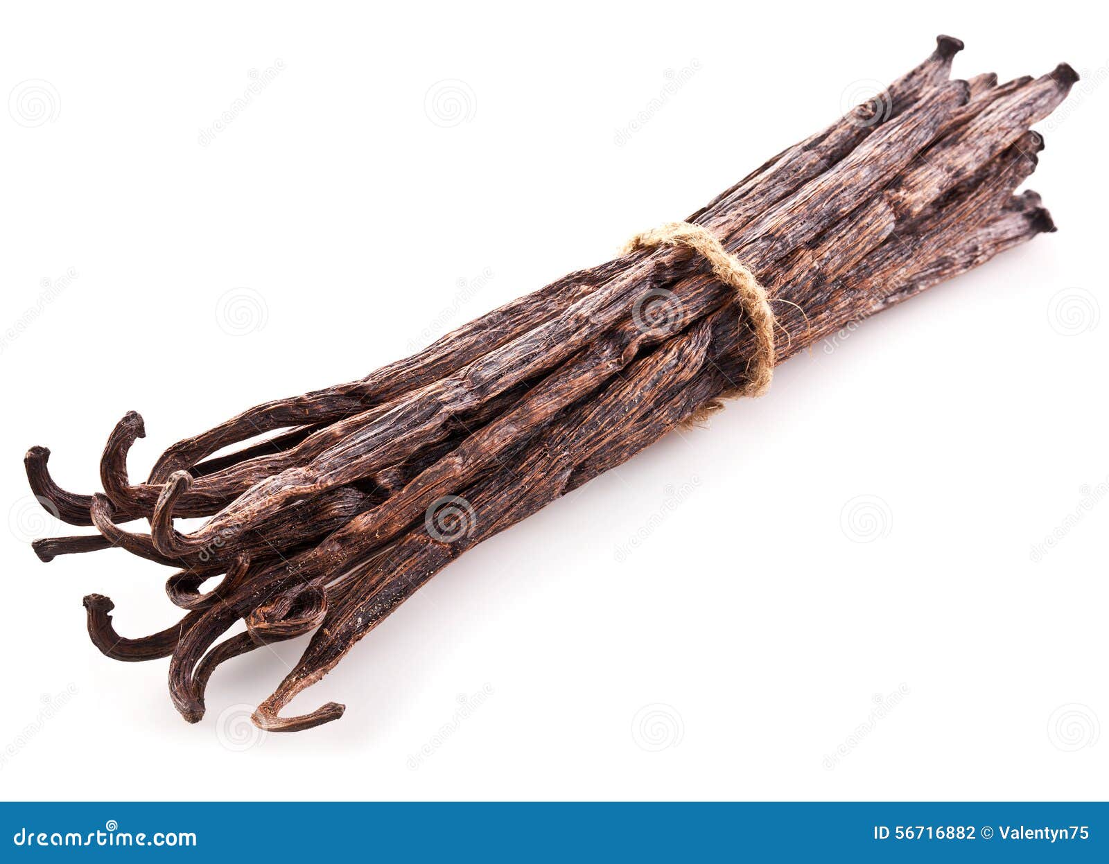 Bunch of vanilla sticks. stock photo. Image of black - 56716882