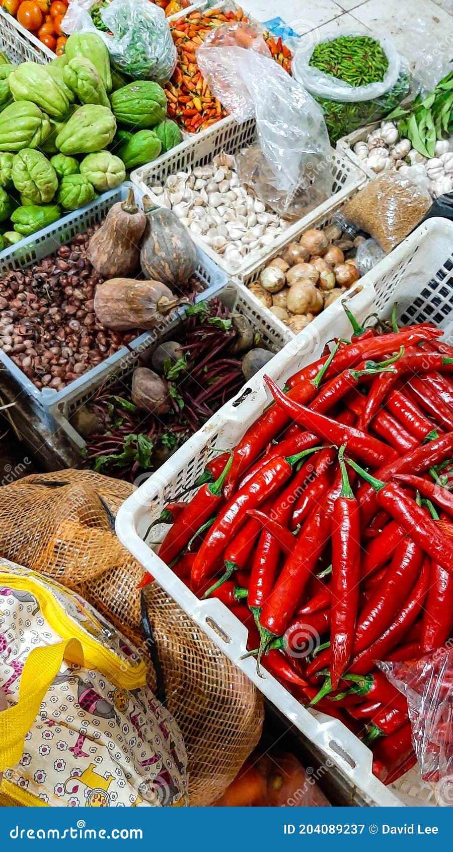 A Bunch of Veggies stock image. Image of vegetable, meal - 204089237