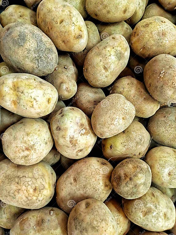 A Bunch of Versatile Potatoes Stock Image - Image of fiber, creativity ...