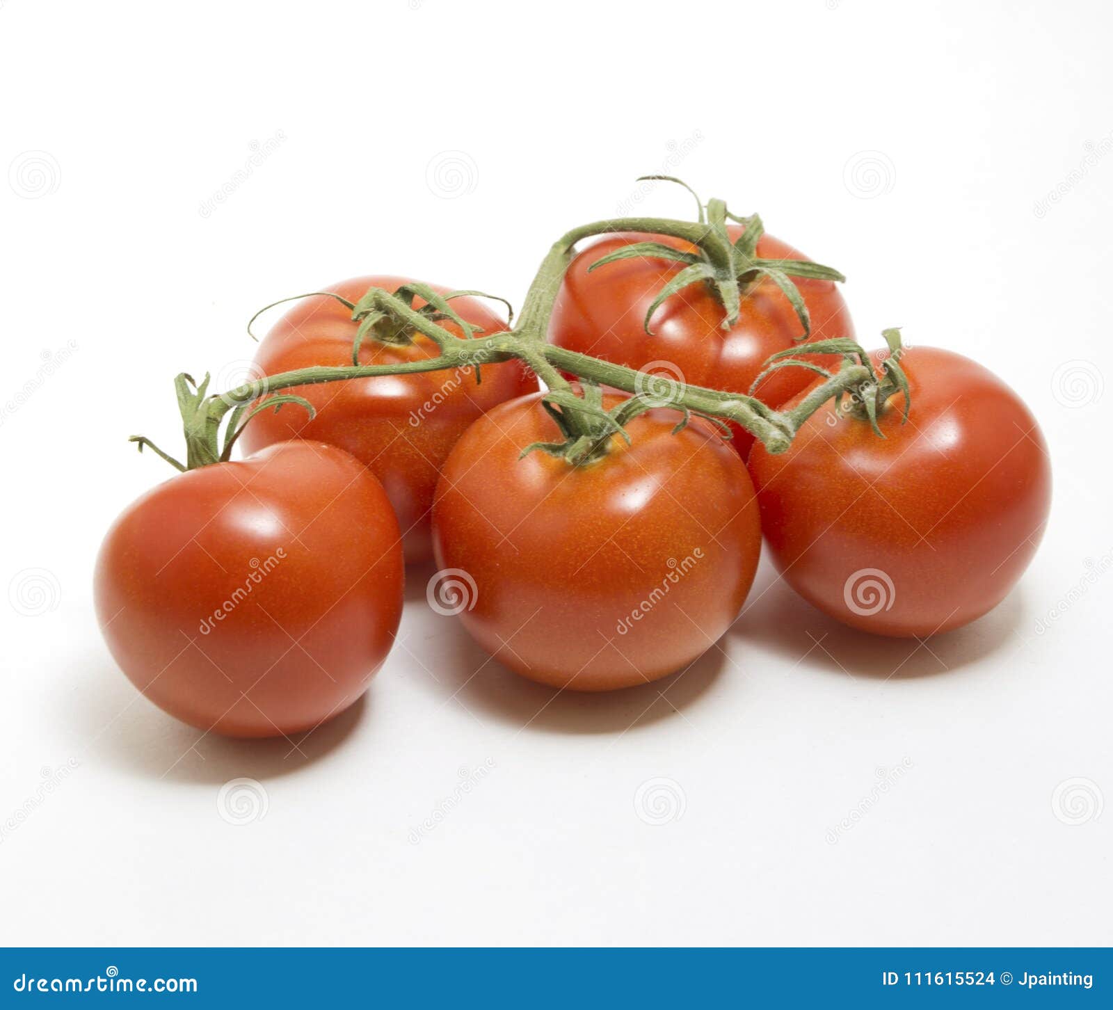 Bunch of Vine Ripened Tomatoes Stock Photo - Image of vegetable, ripe ...