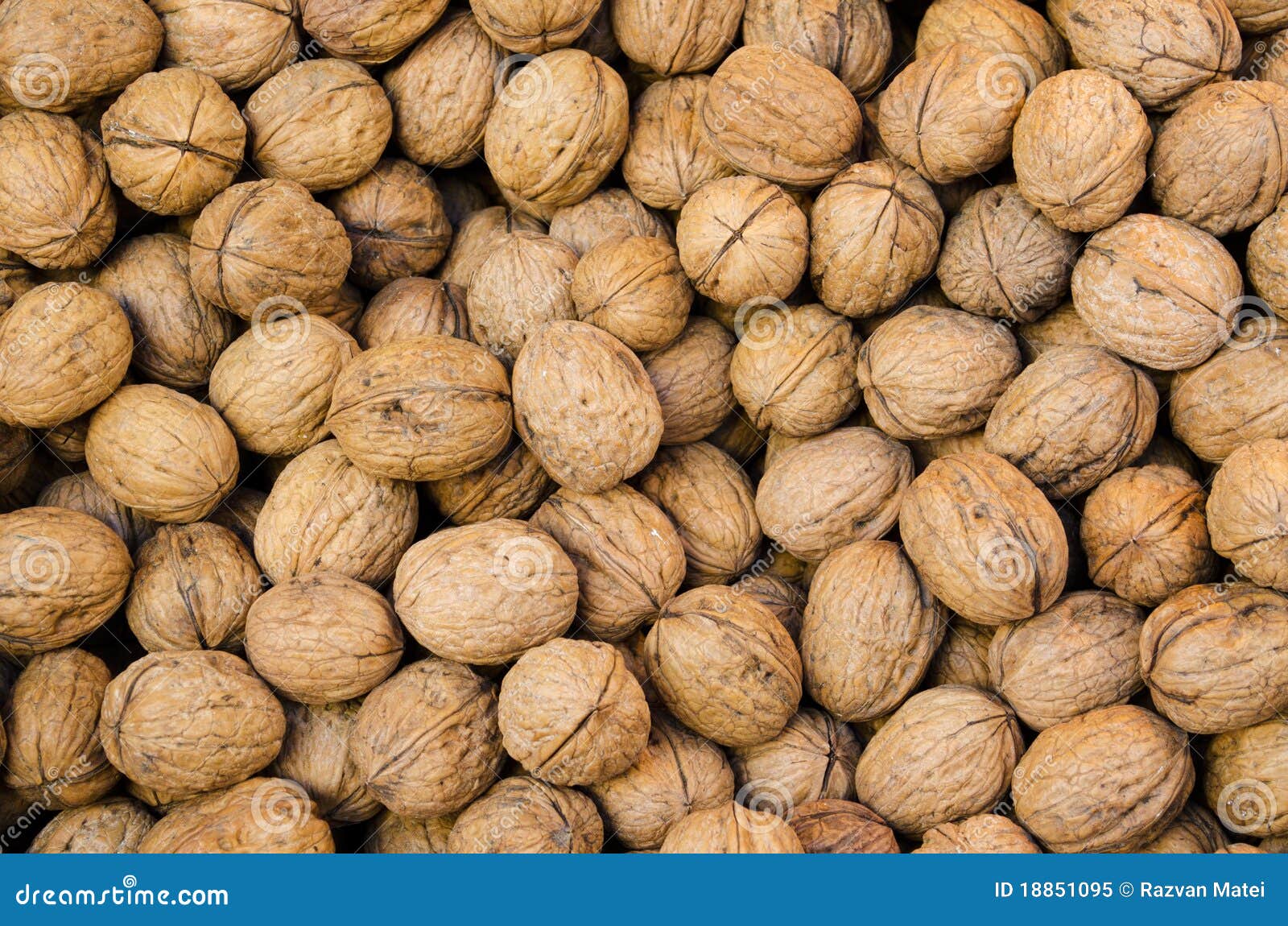 Bunch of walnuts stock image. Image of care, seasonal - 18851095