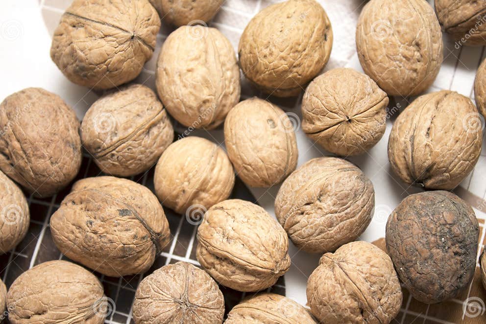 A bunch of walnuts stock photo. Image of food, ingredient - 74086352