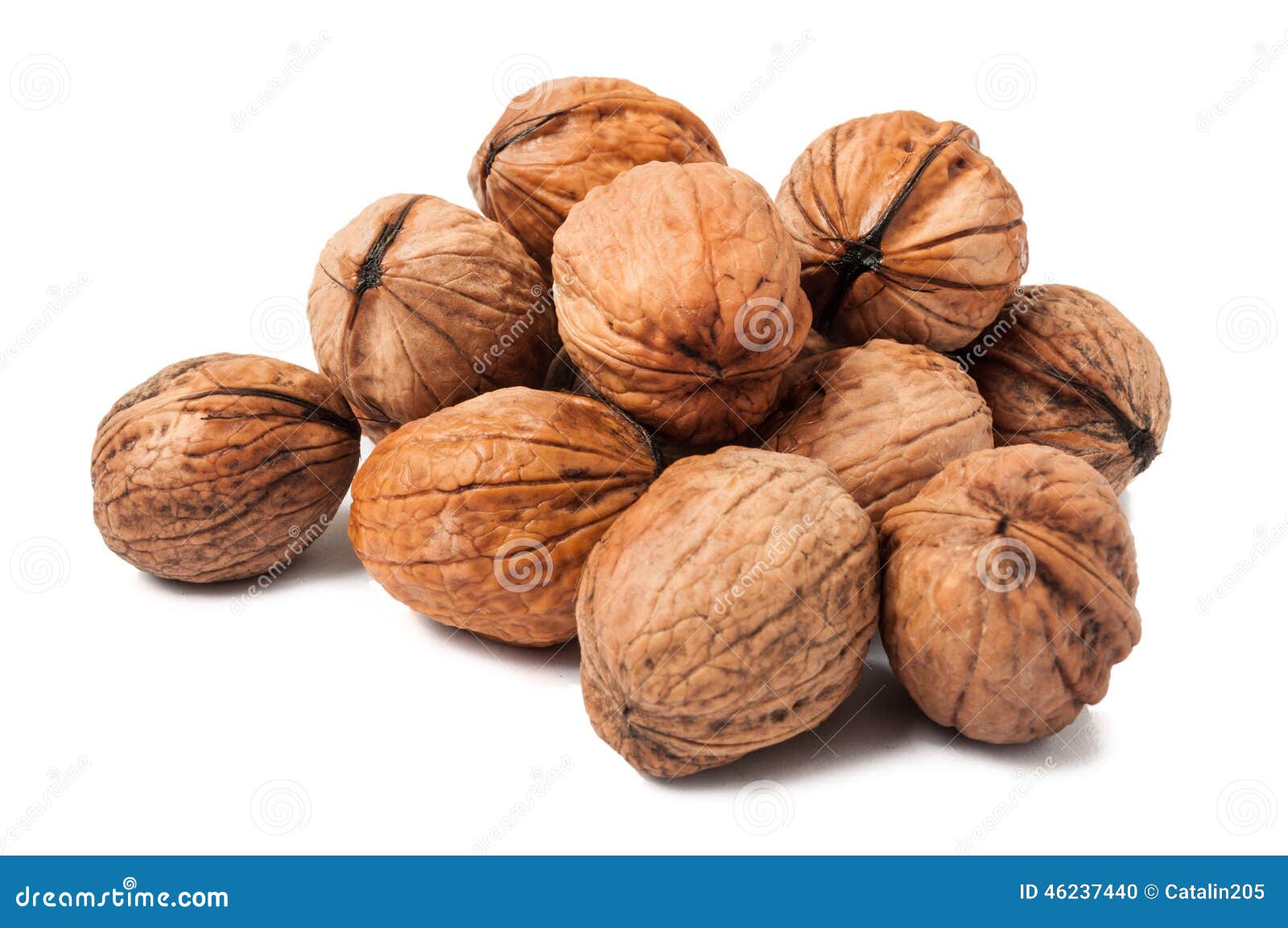 Bunch of walnuts stock photo. Image of walnut, macro - 46237440