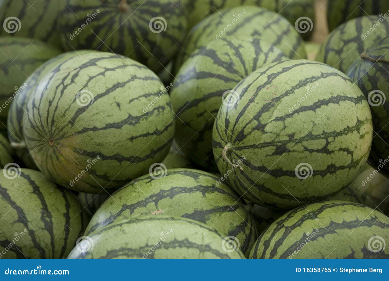 Bunch of Watermelons stock image. Image of calorie, sweet - 16358765