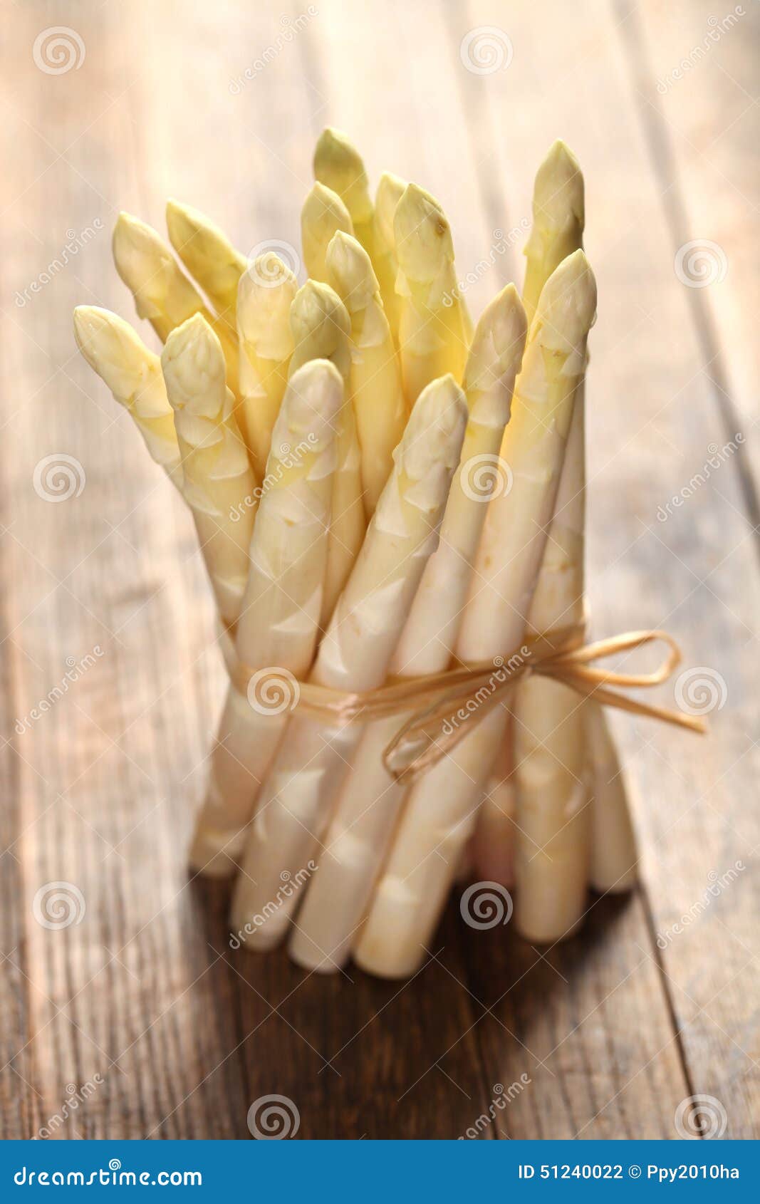 Bunch of white asparagus stock photo. Image of healthy - 51240022