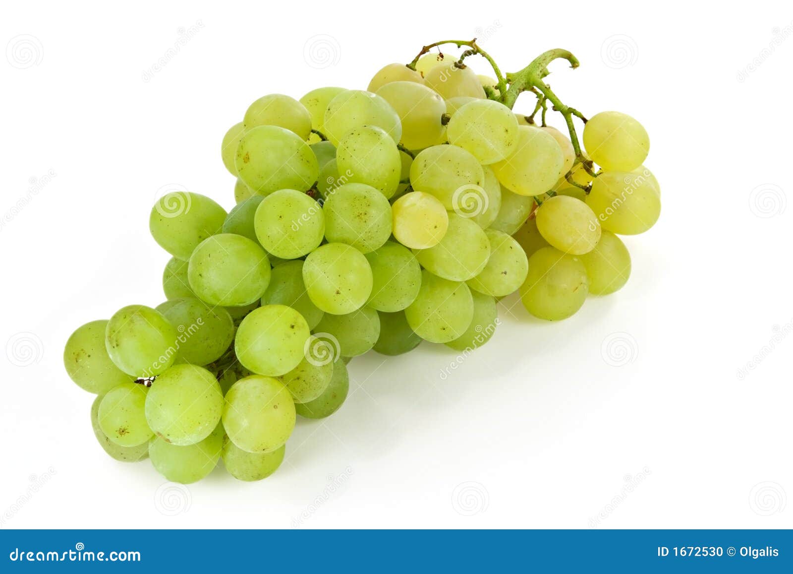 Bunch of white grapes stock photo. Image of breakfast - 1672530