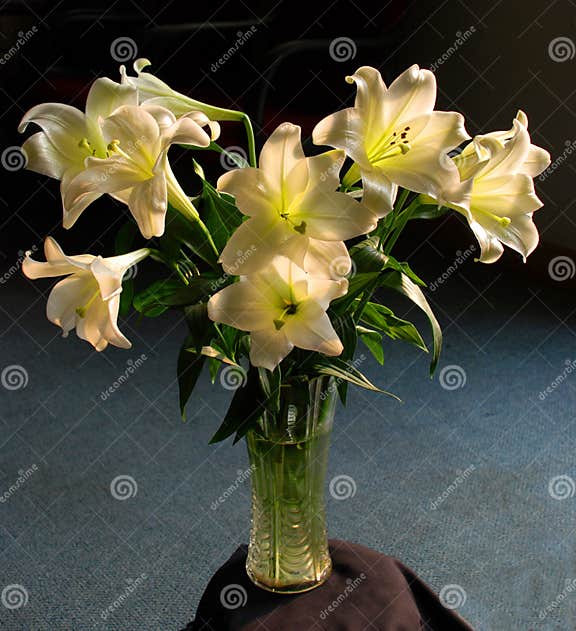 A bunch of white lilies stock photo. Image of vase, lilies - 4743446