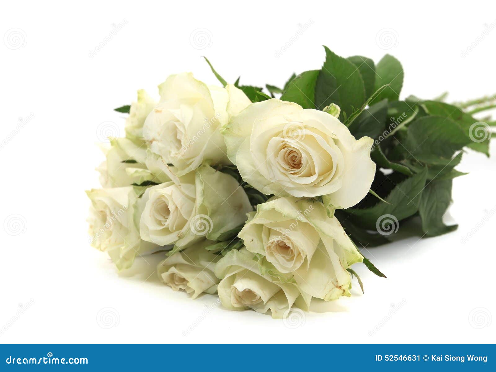 A bunch of white roses stock image. Image of valentine - 52546631