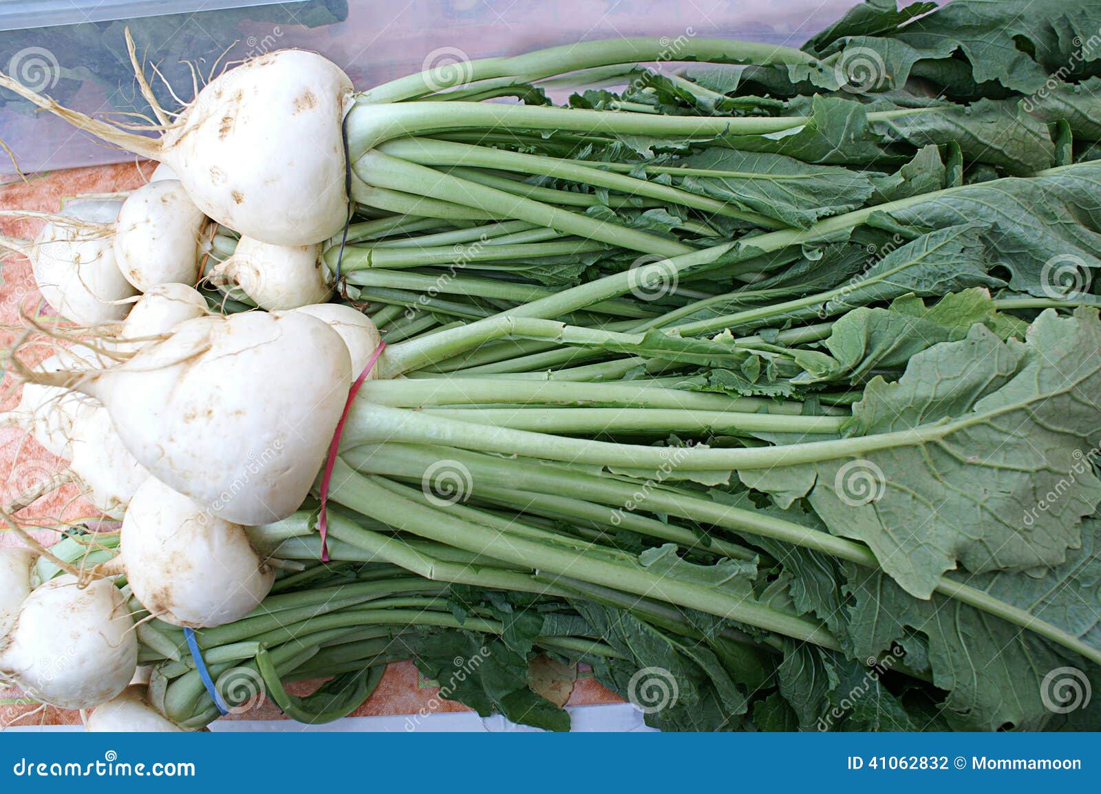 Bunch of White Turnips stock photo. Image of health, diet - 41062832