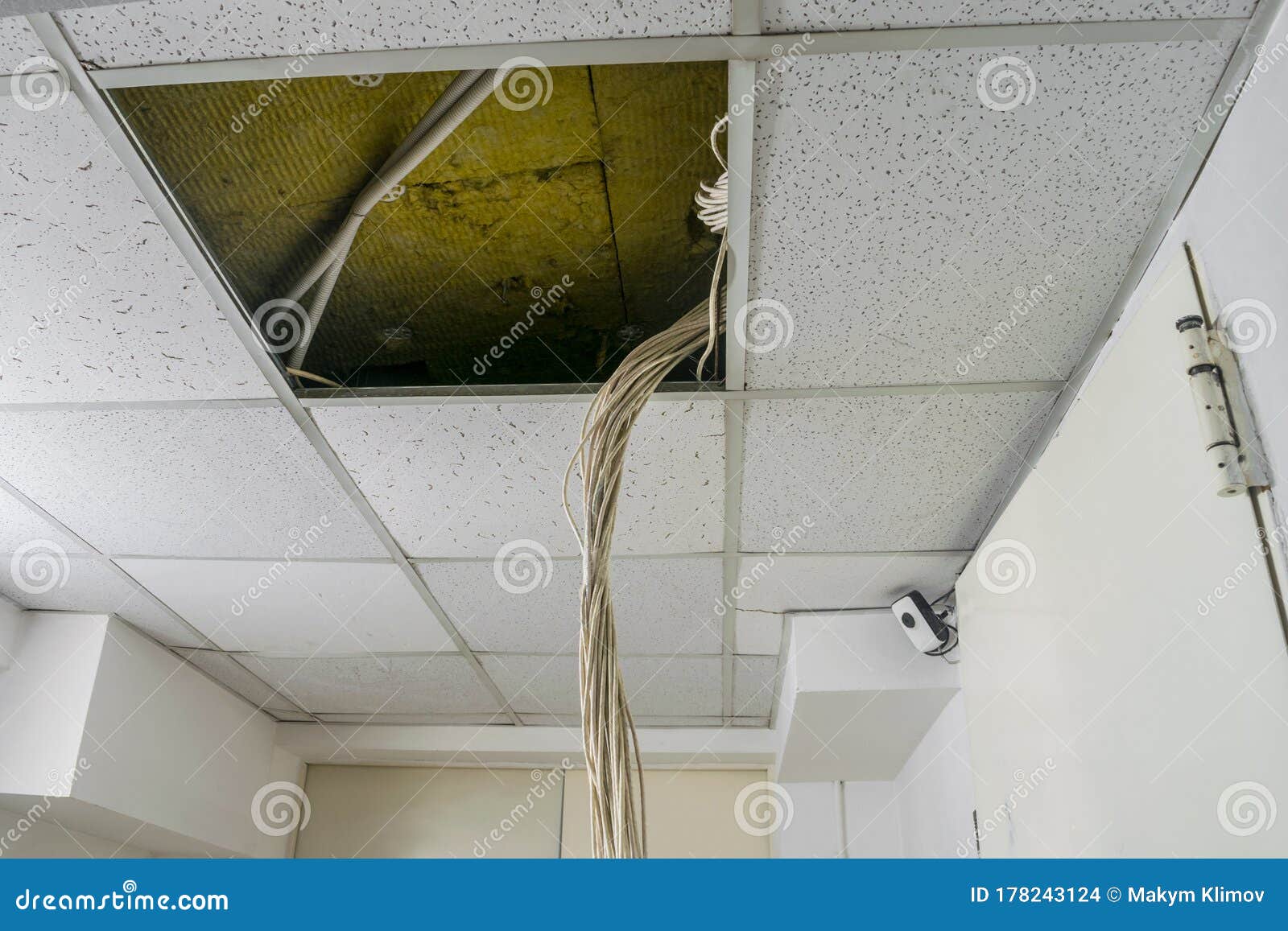 A Bunch of White Wires Hang from the Suspended Ceiling. Technological ...