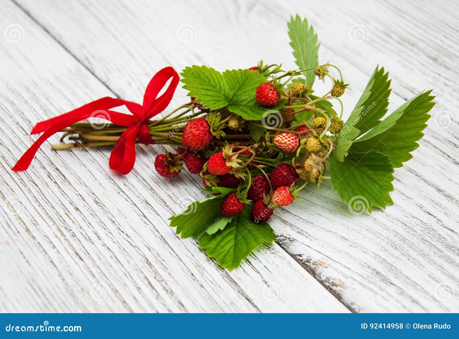 Bunch of wild strawberry stock photo. Image of delicious - 92414958