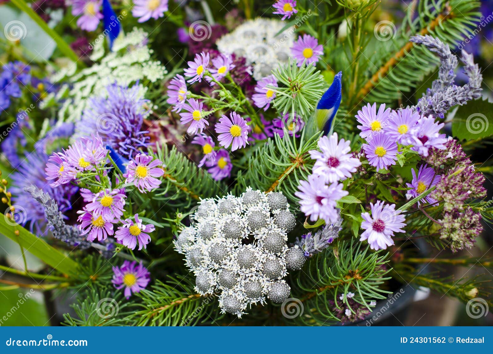 Bunch of Wildflowers in Bucket Stock Photo - Image of grow, daisy: 24301562