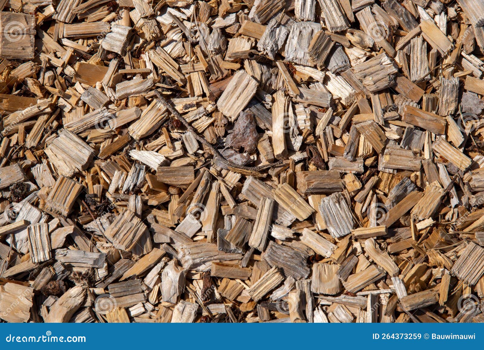 Bunch of Wood Chip on Frame Stock Image - Image of renewable, chipping ...