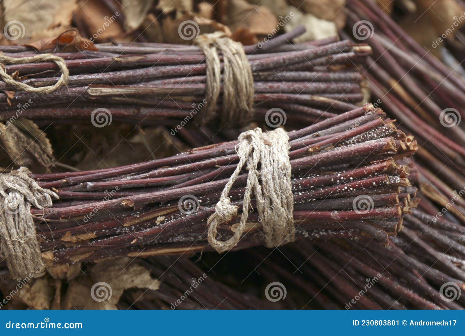 Bunch of Wooden Twigs Tied Up with a String, Bundle of Wooden Twigs ...