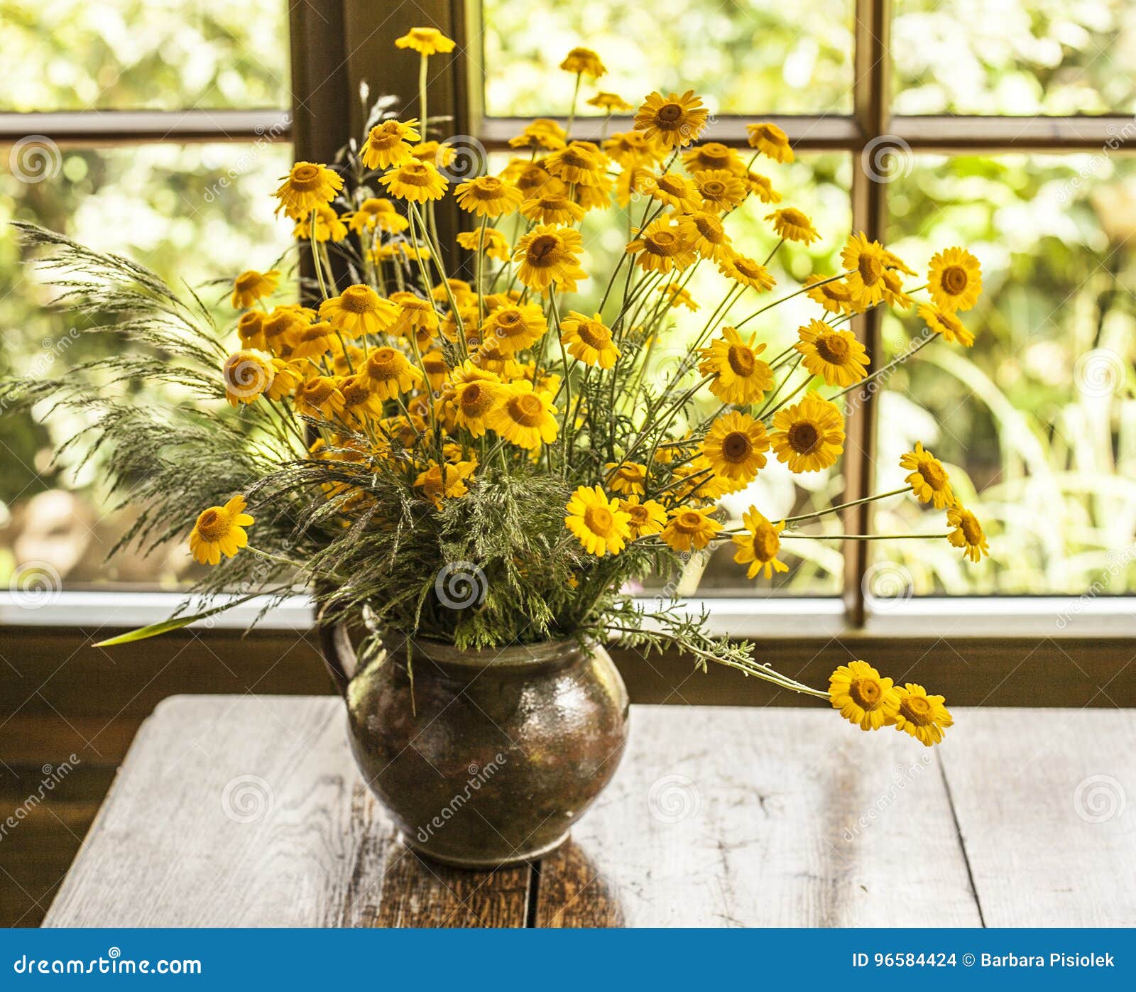 A bunch of yellow flowers. stock photo. Image of plants - 96584424