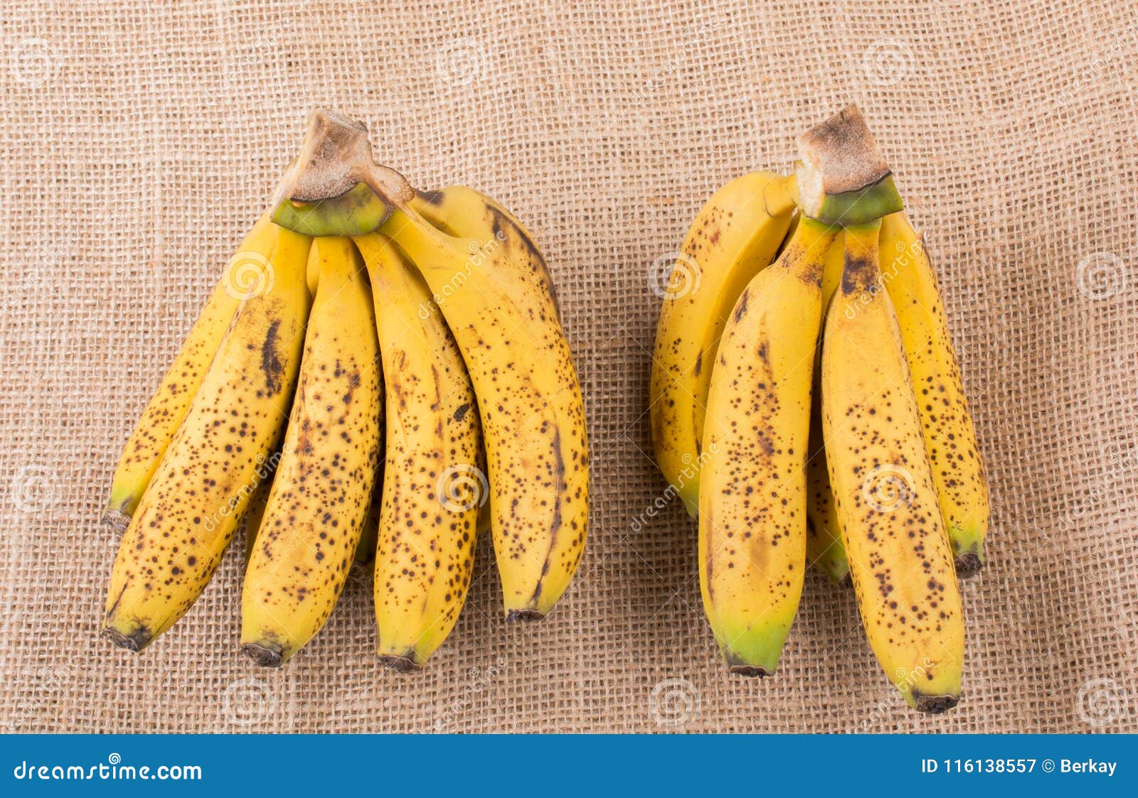 Bunch of Yellow Freckled Bananas Stock Image - Image of peel, banana ... Bunch of Yellow Freckled Bananas Stock Image - Image of peel, banana ...