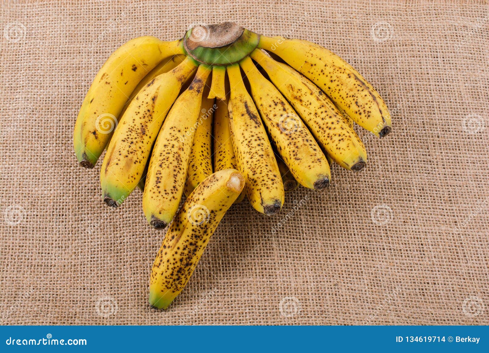 Bunch of Yellow Freckled Bananas Stock Photo - Image of food, fragrant ... Bunch of Yellow Freckled Bananas Stock Photo - Image of food, fragrant ...