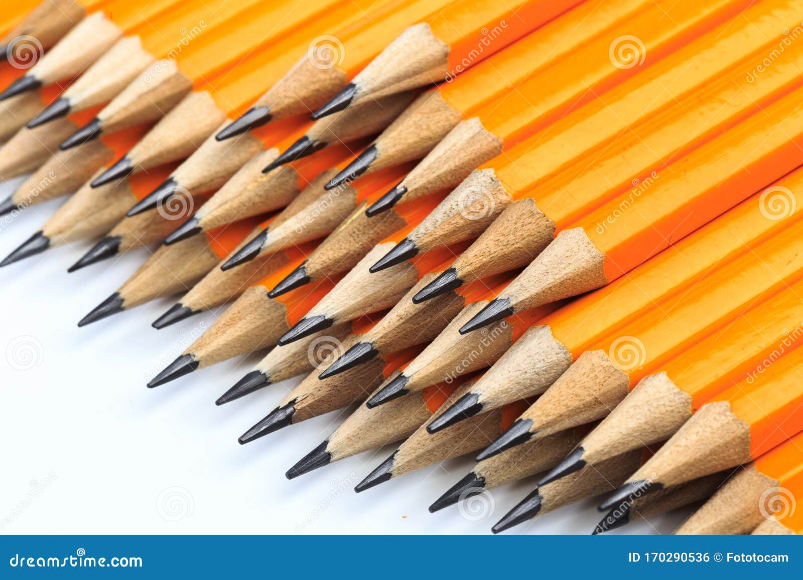 Bunch of Yellow Pencils Isolated on White - Image Stock Photo - Image ...