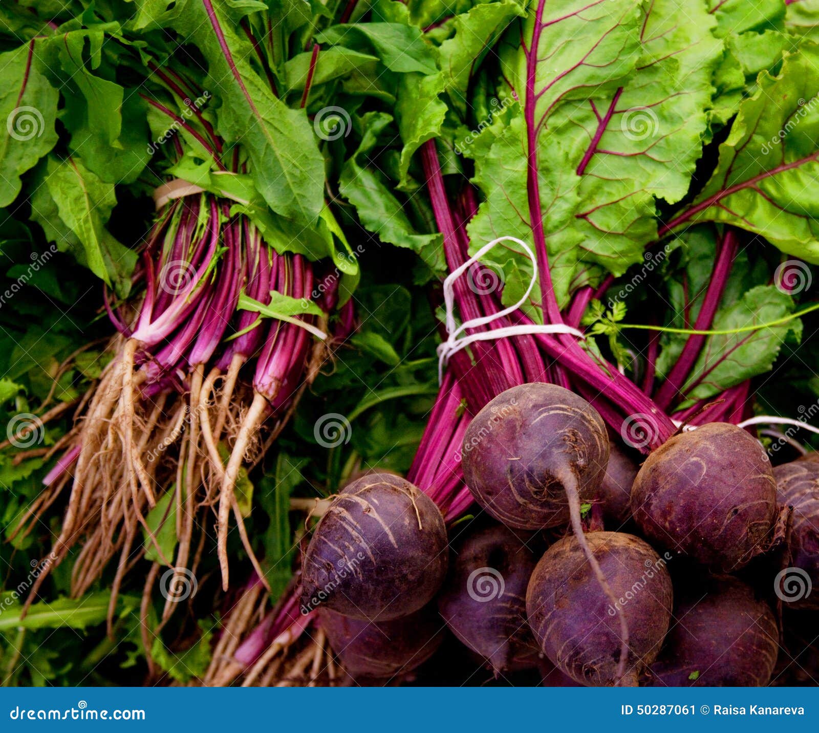 Bunches of beets stock image. Image of sweet, harvest - 50287061