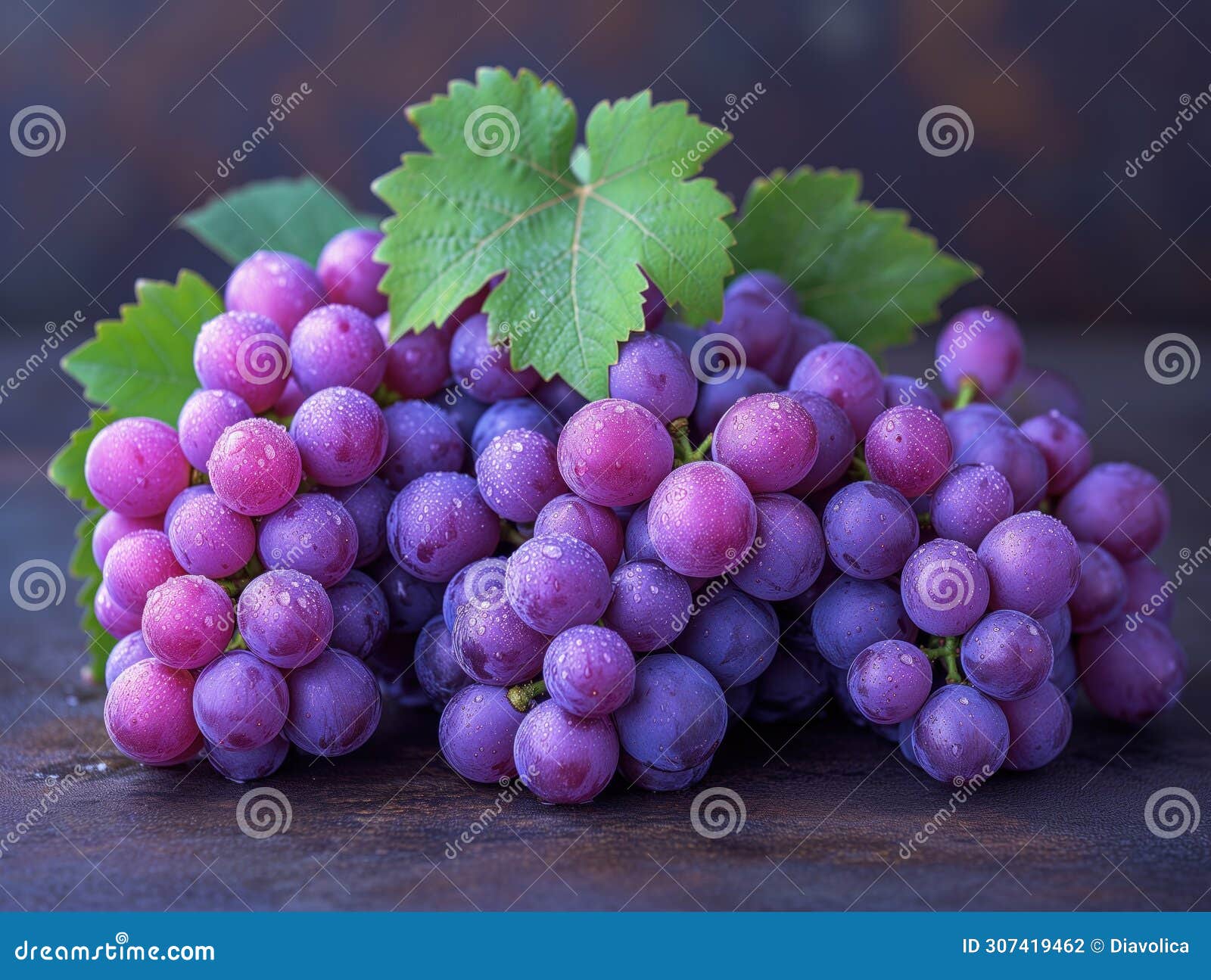 Bunches of Blue Grapes Close Up Stock Illustration - Illustration of ...