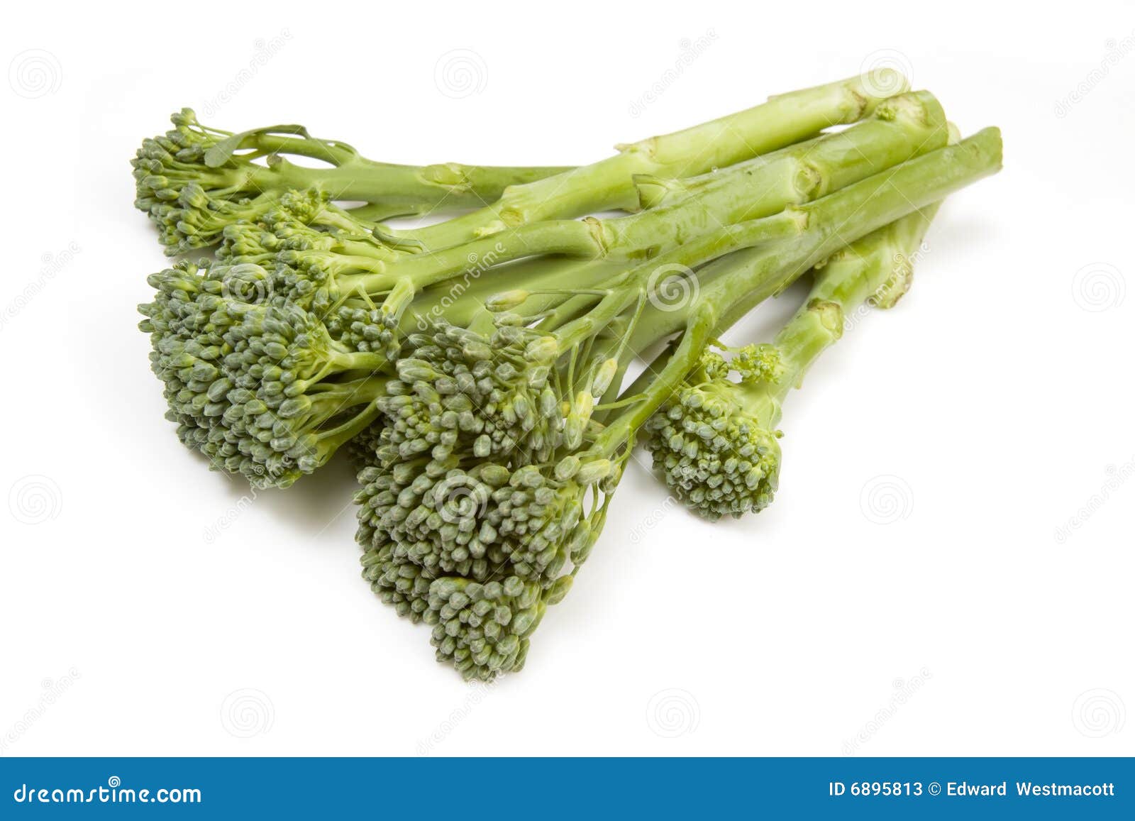 Bunches of Broccoli stock image. Image of nutritious, details - 6895813