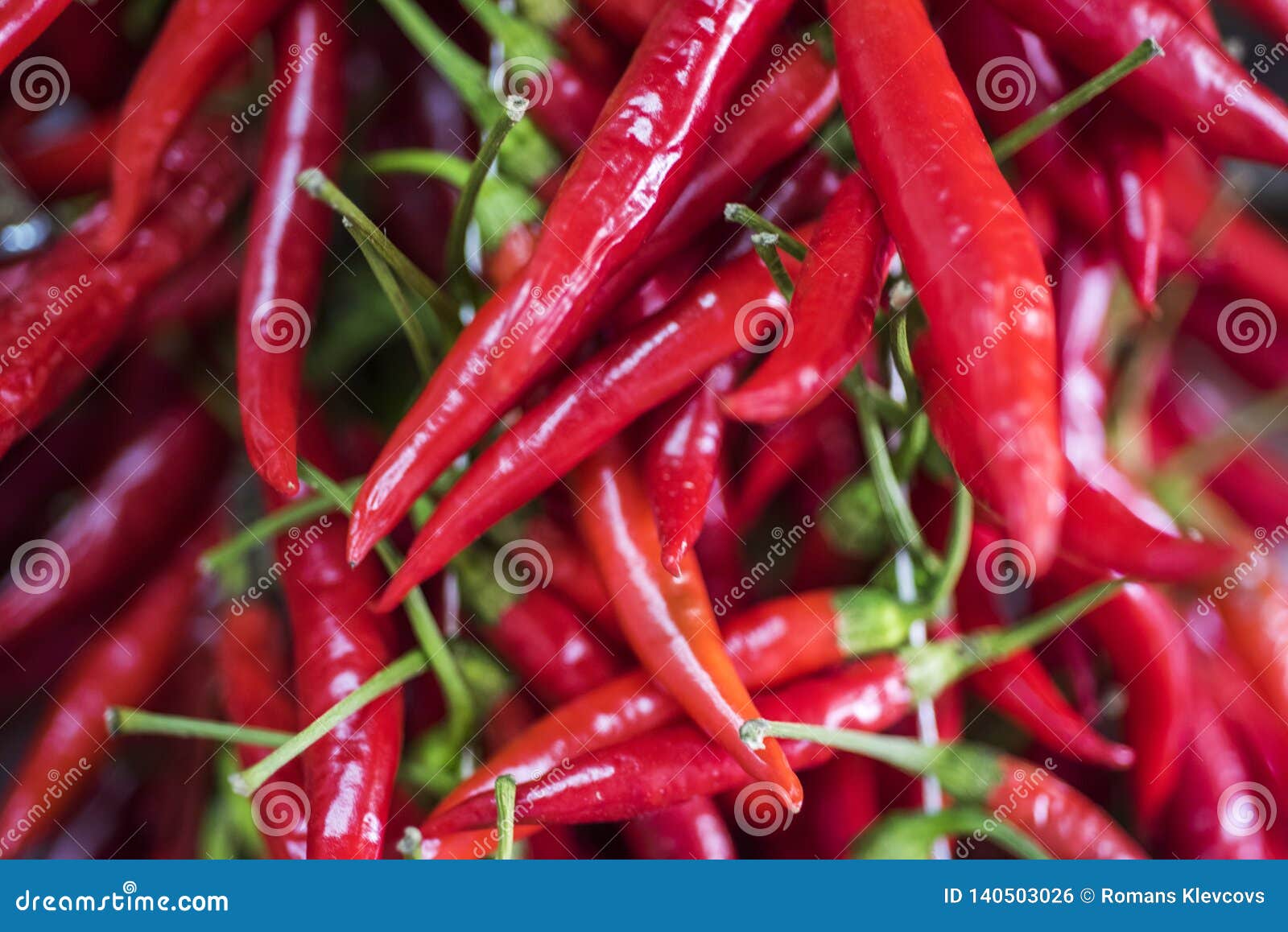 Bunches of Chilli Peppers Hanging at the Market Stock Photo - Image of ...