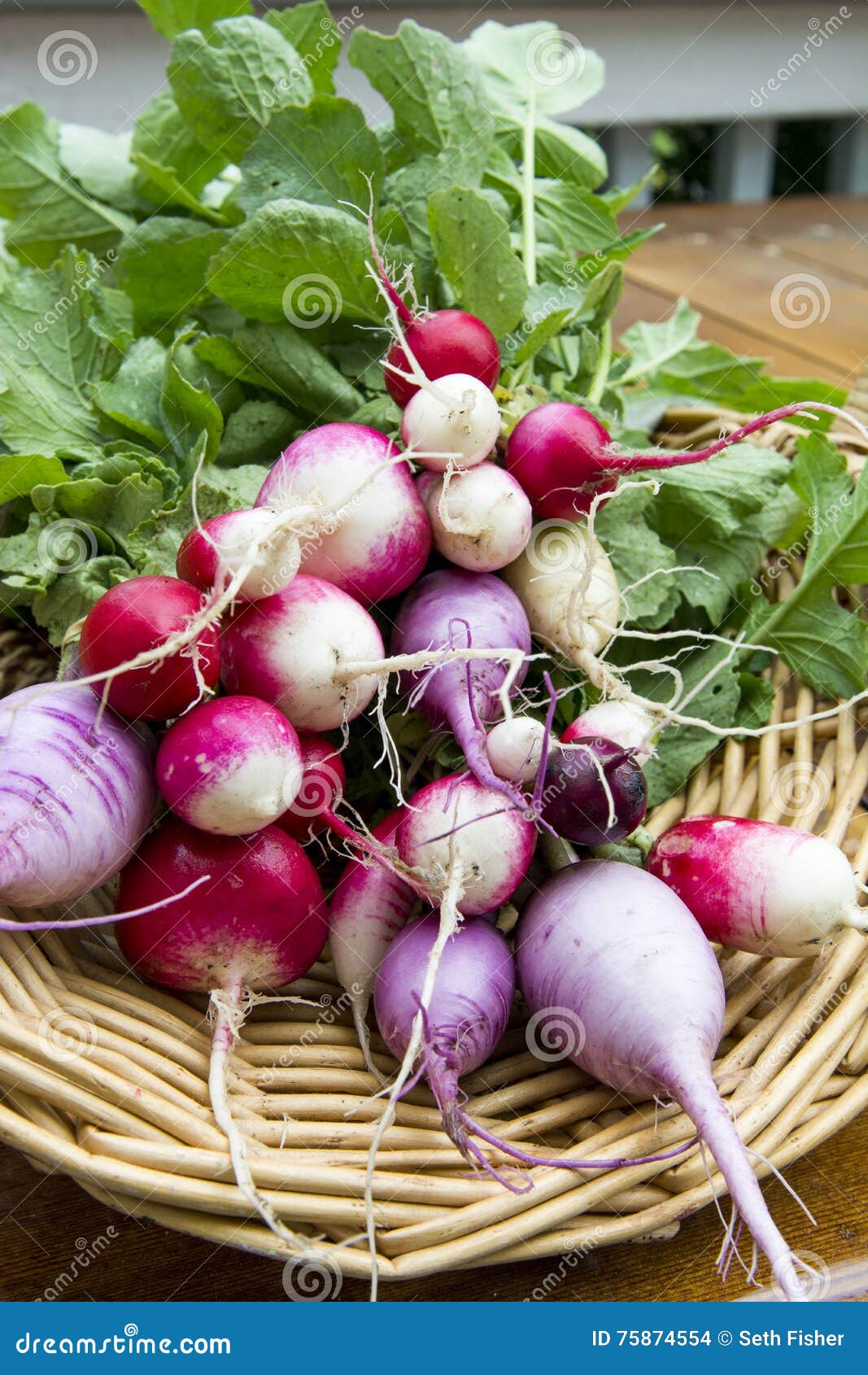 Bunches of Colorful Radishes Stock Photo - Image of radishes, root ...