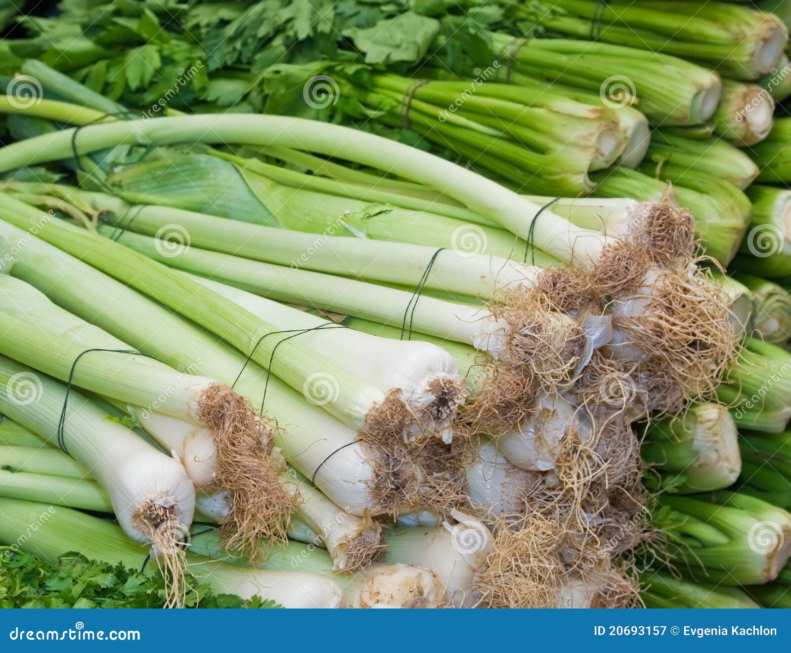 A Bunches of Fresh Healthy Leek and Celery Stock Image - Image of ...