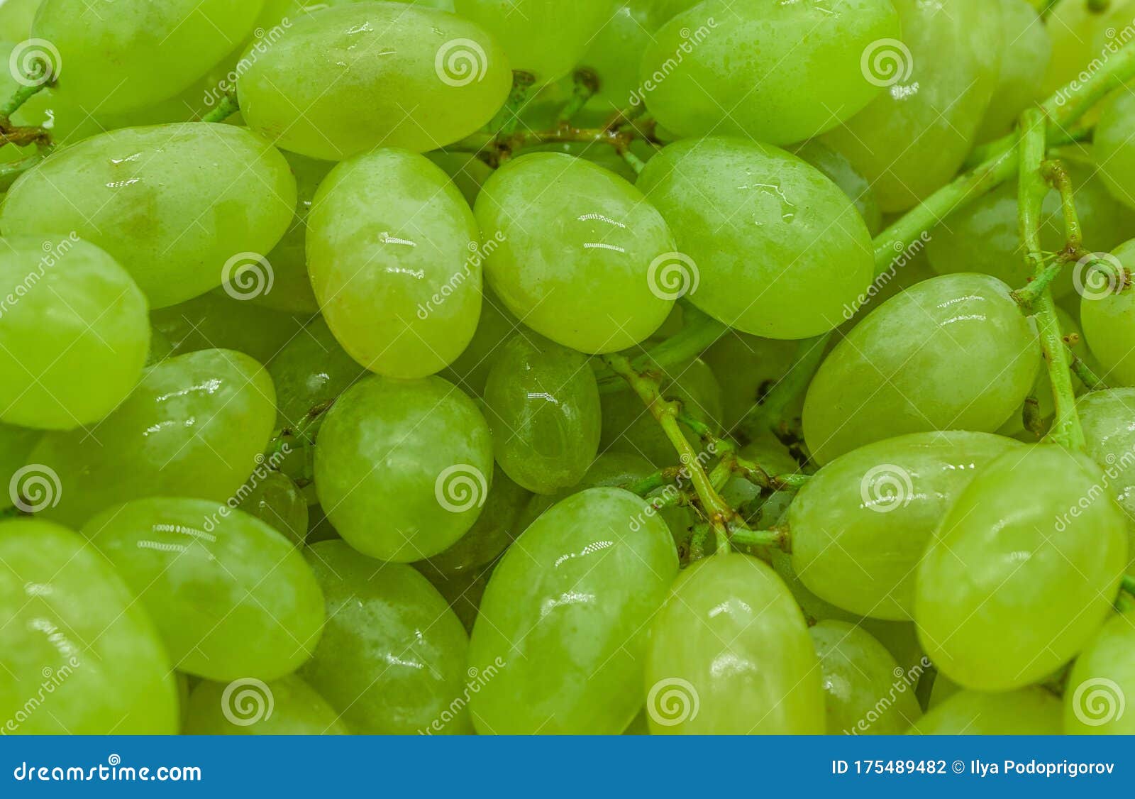 Bunches of Green Grapes with Water Drops Background Texture, Closeup ...