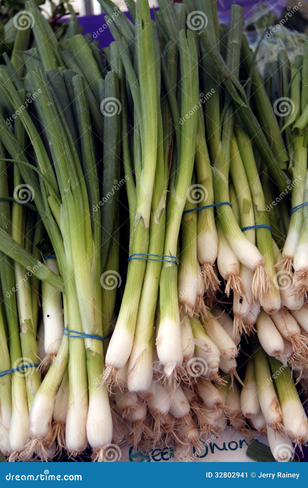 Bunches of green onions stock image. Image of seasoning - 32802941