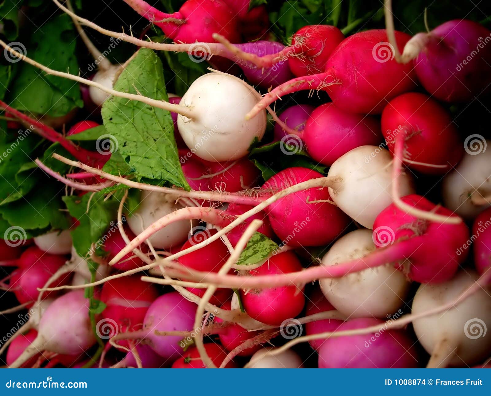 Bunches of Multicolored Radishes. Stock Photo - Image of farmers ...