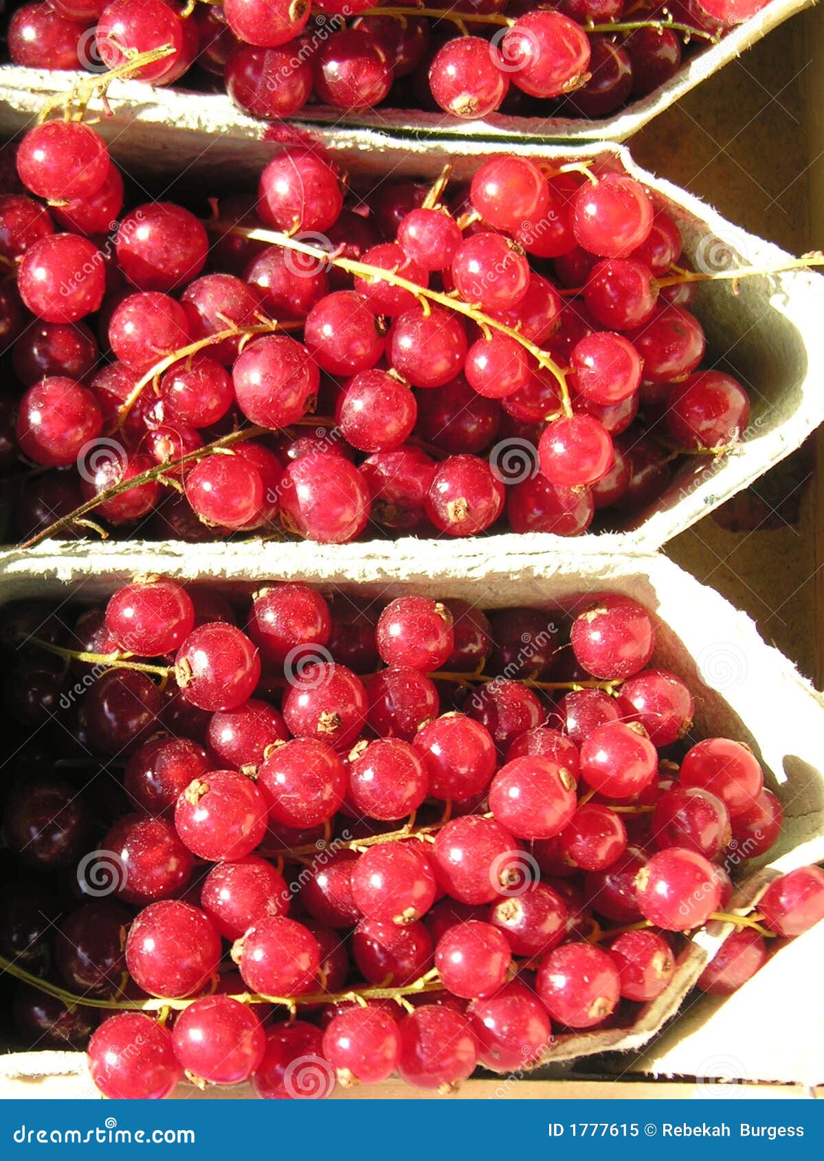 Bunches of Organic Red Grapes in Containers at Market Stock Image ...