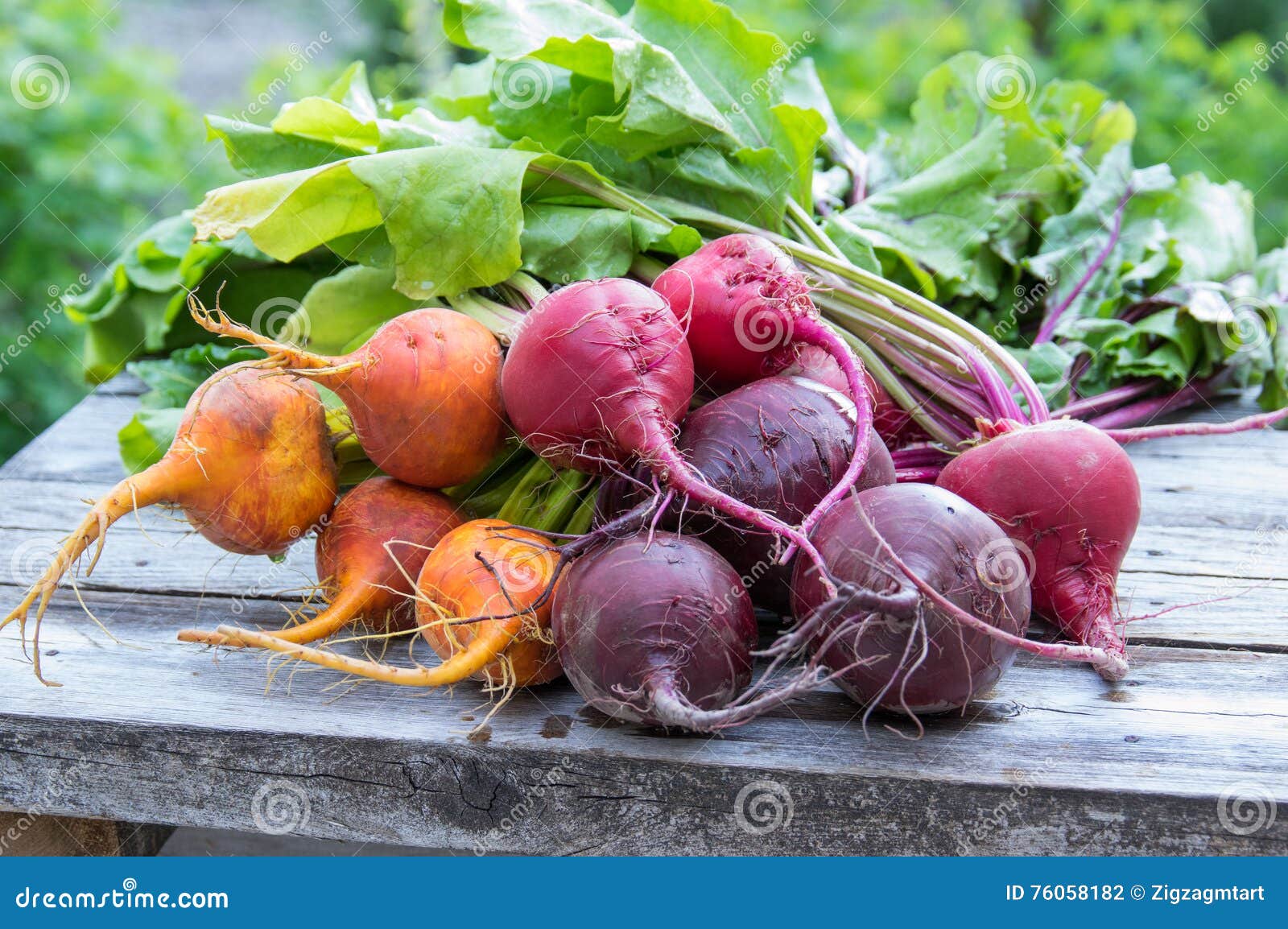 Bunches of Red and Orange Beets Stock Photo - Image of fresh ...