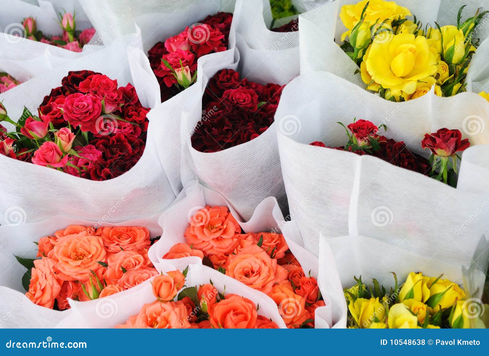 Bunches of roses stock photo. Image of beauty, holiday - 10548638