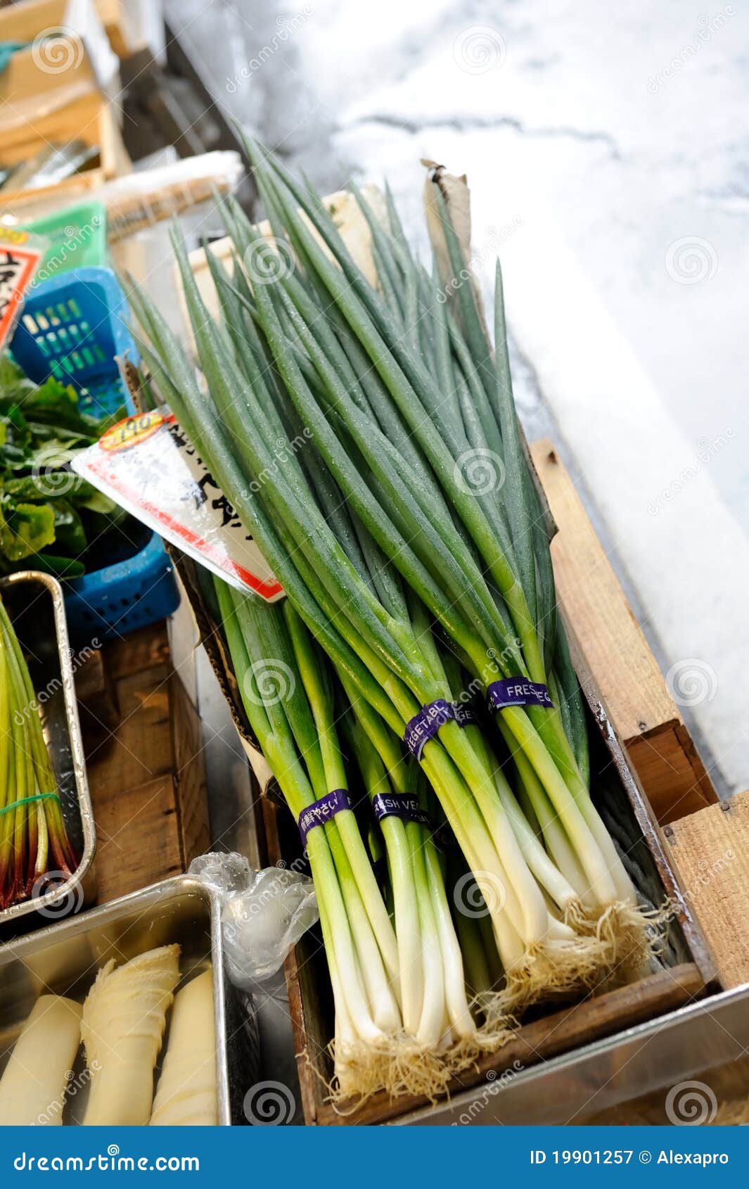 Bunches of spring onion stock image. Image of scallion - 19901257