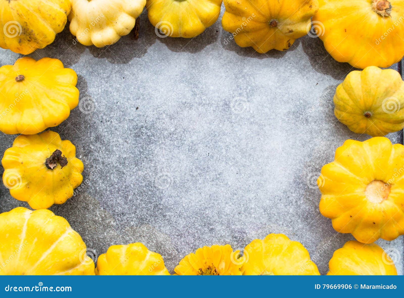 Bunches of Squash As a Natural Border Around Blank Area with Copy Space ...