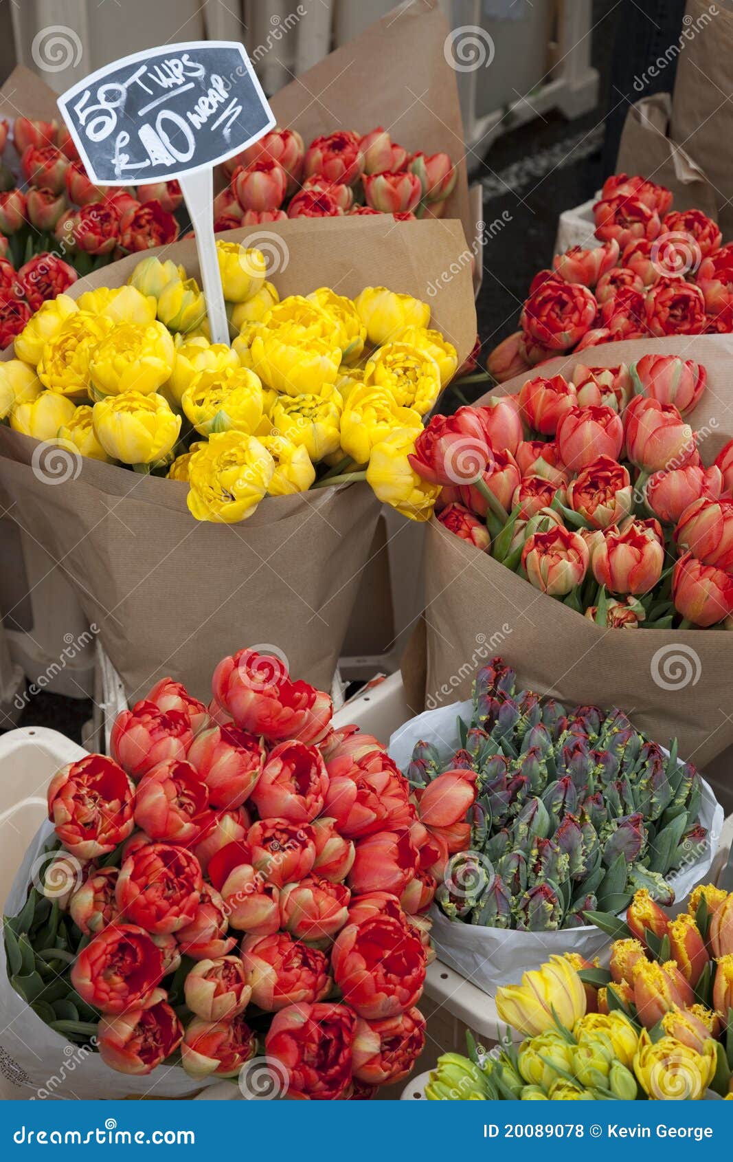 Bunches of Tulips stock photo. Image of color, shop, bunch - 20089078