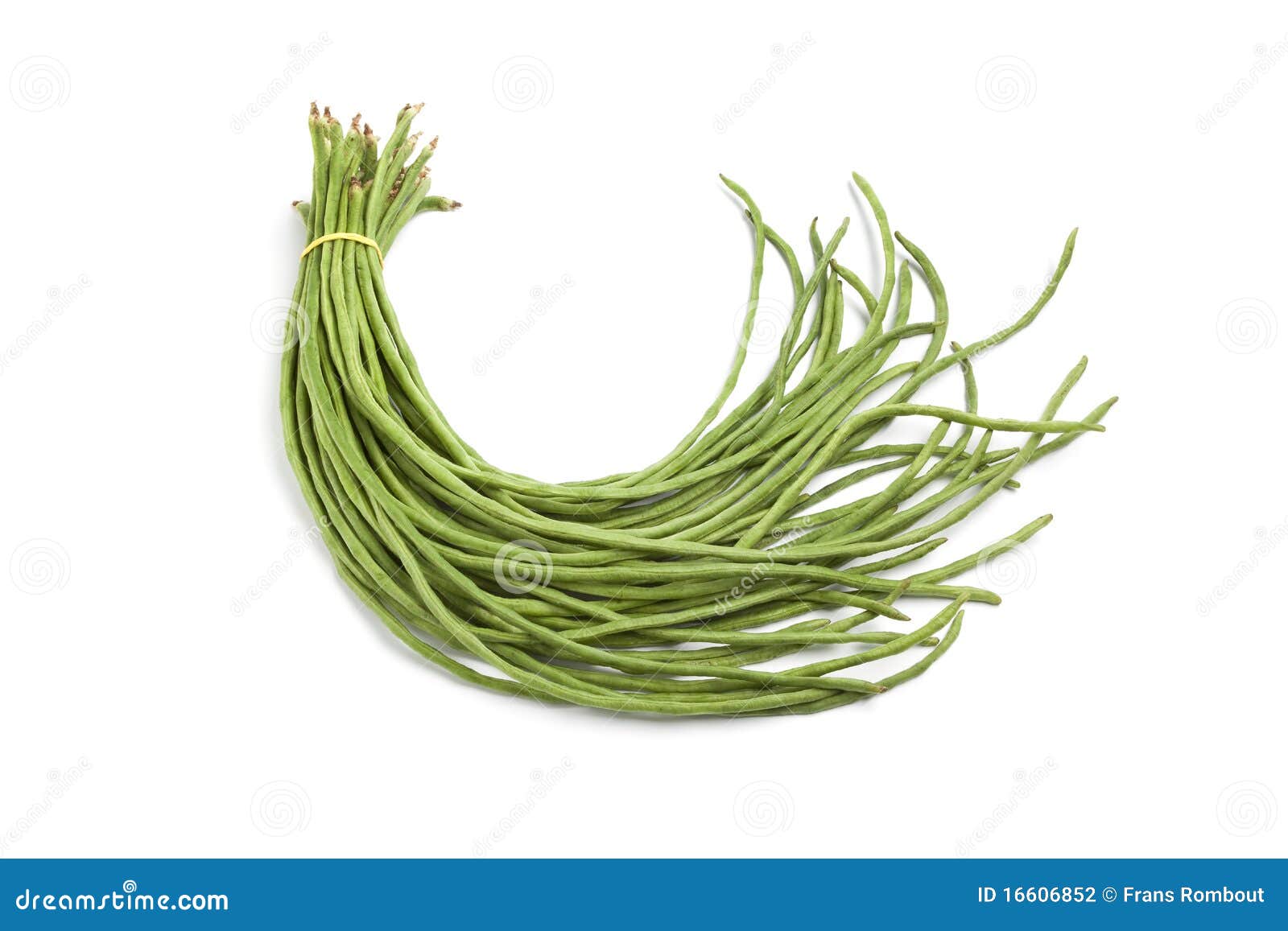 Bundel Van Verse Chinese Lange Bonen Stock Foto - Image of voedsel ...