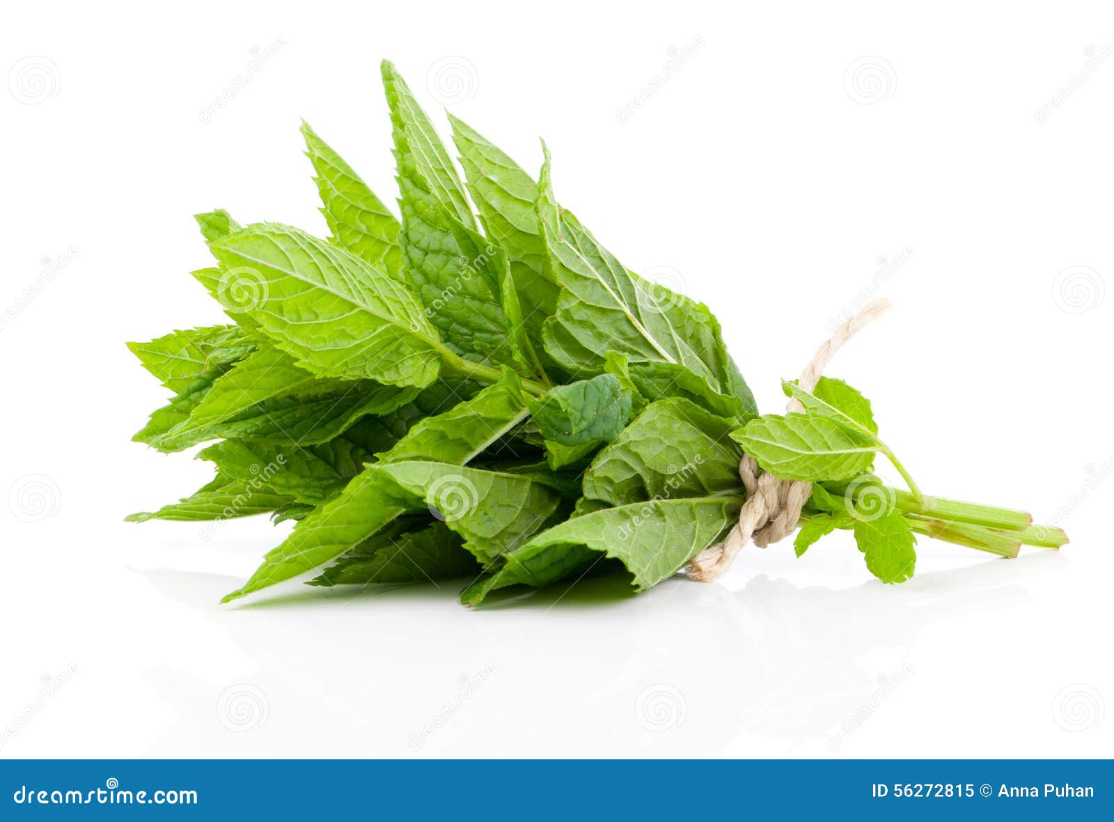 Bundel Van Verse Groene Munt Stock Afbeelding - Image of ingrediënt ...